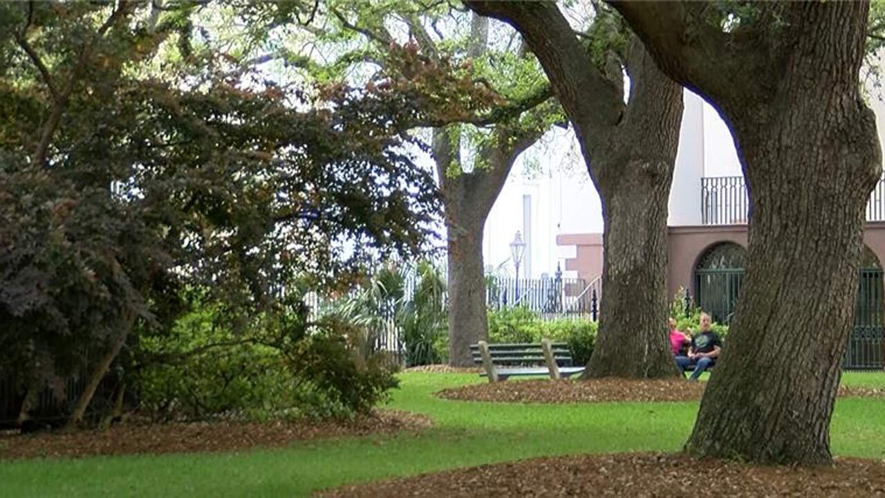 City of Charleston launches the first-ever environmental corridor in ...