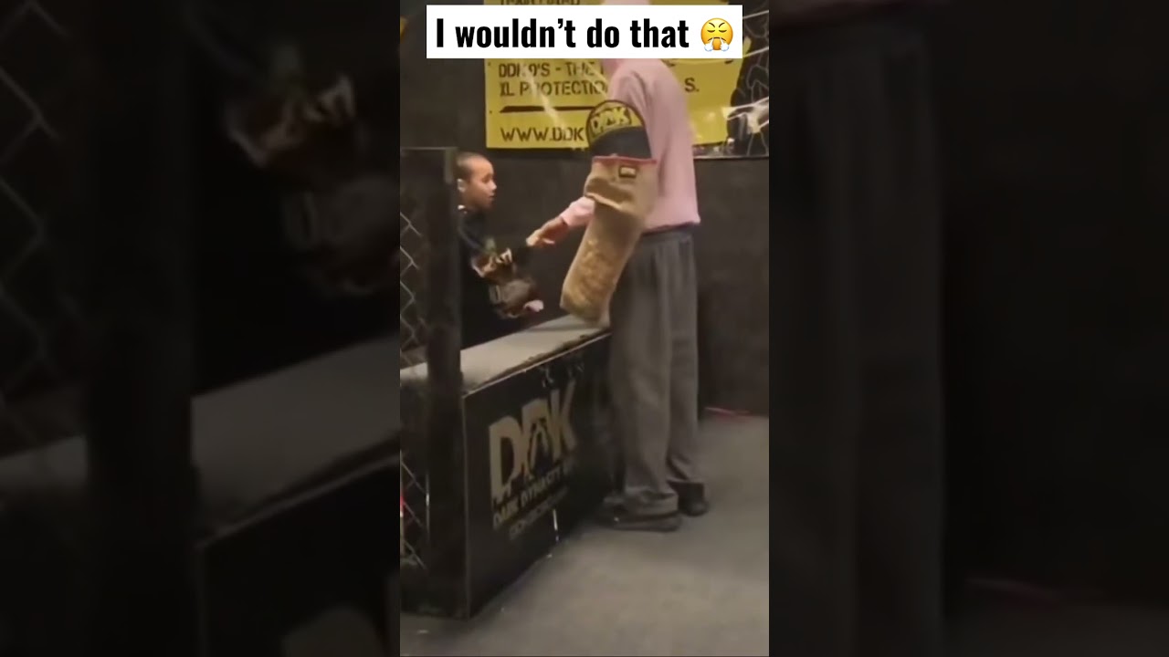 Pit bull shows incredible reaction time defending young child