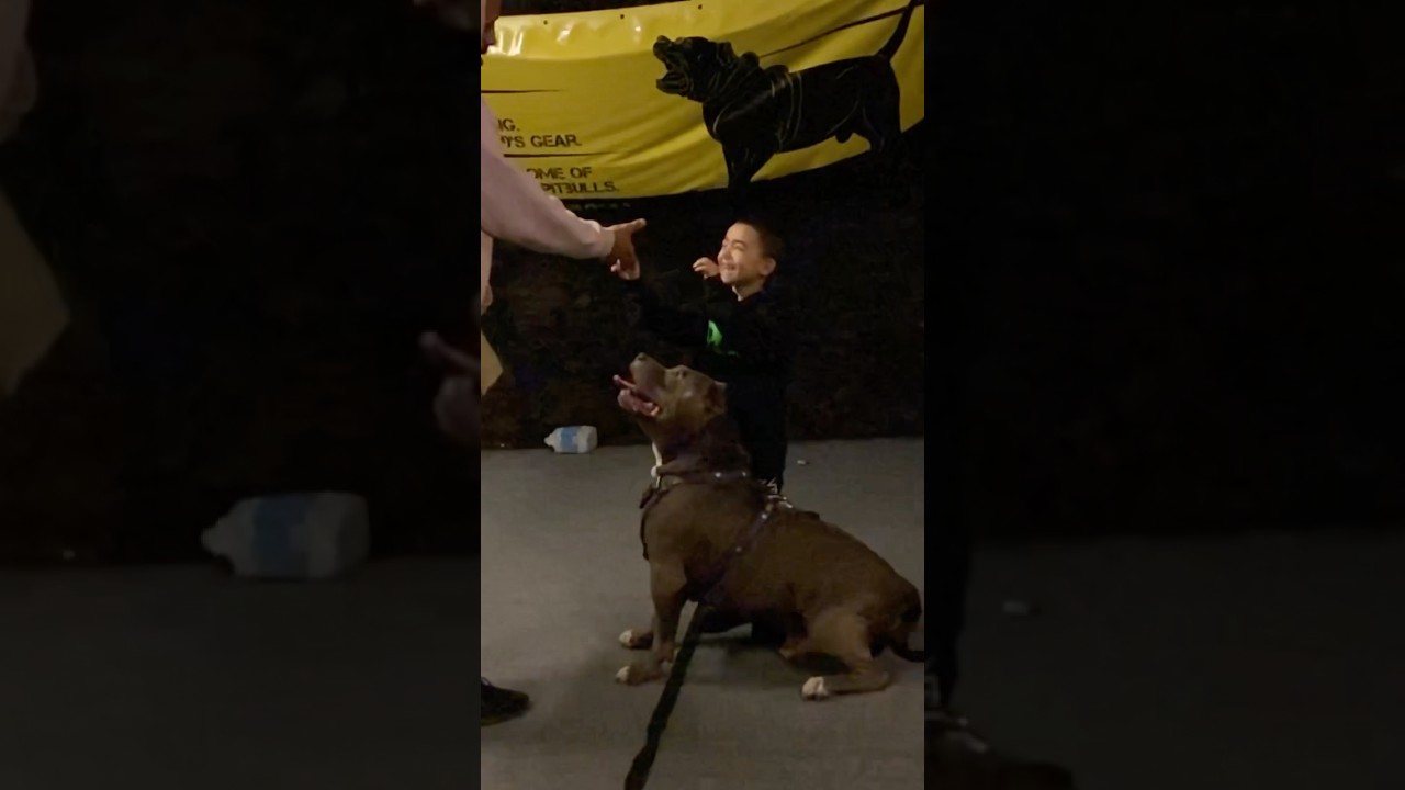 Loyal dog takes on the vital job of protecting baby
