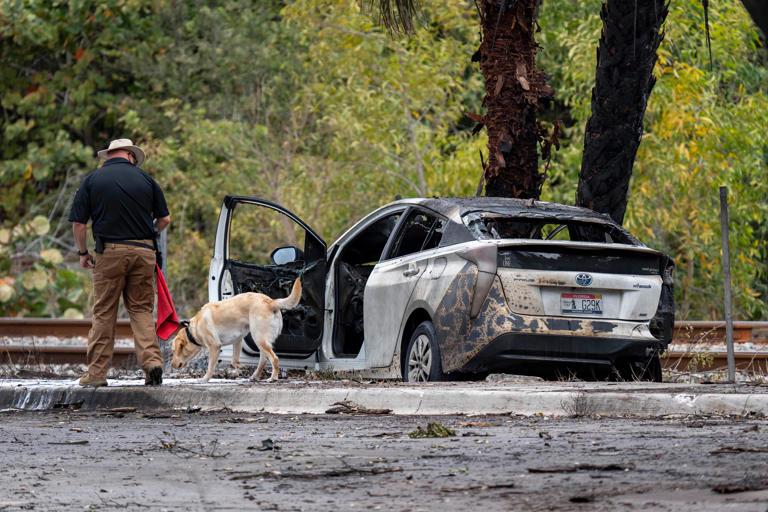 Boca plane crash live updates: All passengers killed in crash near Boca ...