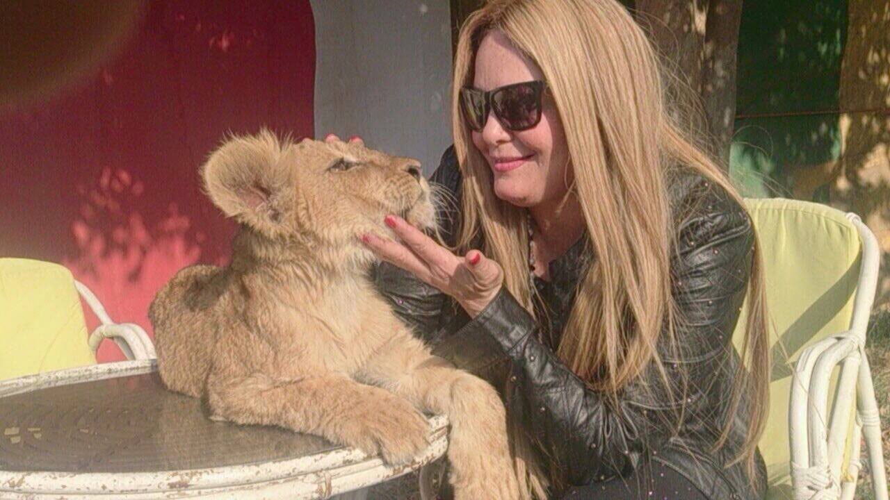 Faten: An Arabic name with playful and profound meanings