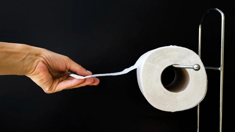 The environmental impact of toilet paper and why bidet showers are the ...