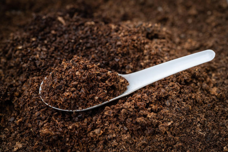 Coffee Grounds For Plants To Make Them Thrive
