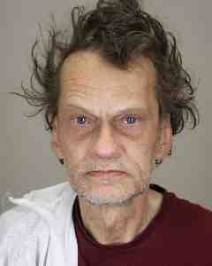 Hamburg man admits to killing sister