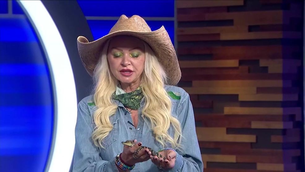 'Queen of Gators' brings baby gator Rando to talk safety on ARC Florida