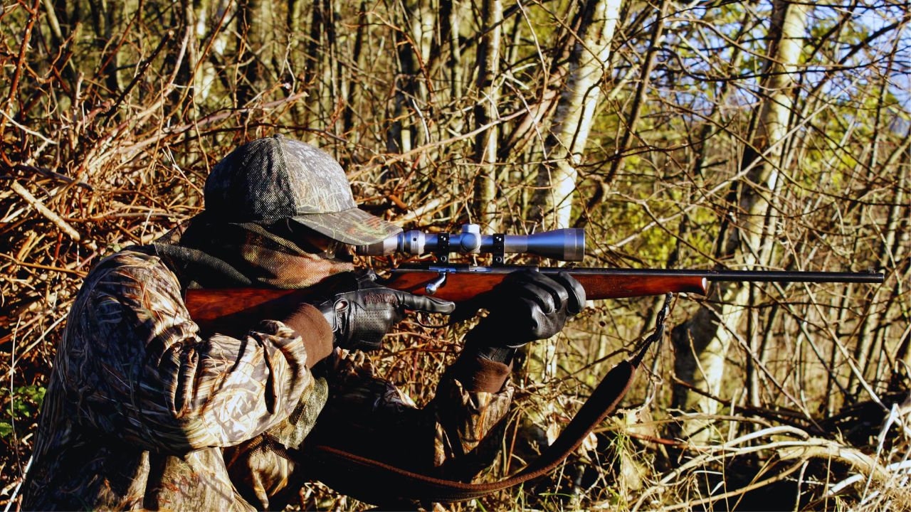 12 Steps To Learning To Shoot A Rifle In One-Day