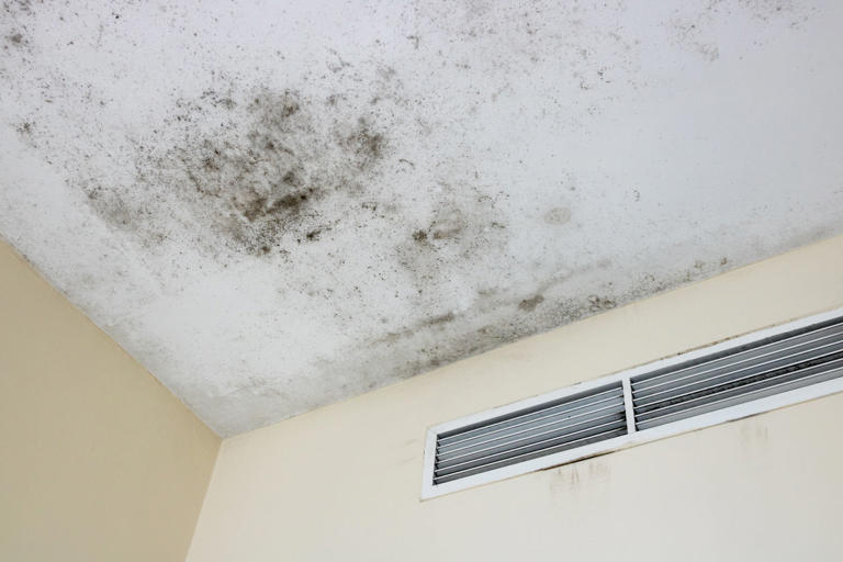 How to Get Rid of Mold on the Ceiling