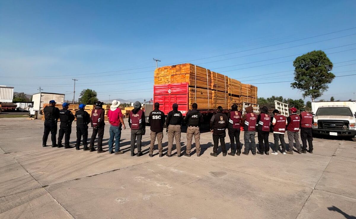 Profepa decomisa 63.76 metros cúbicos de madera ilegal en CDMX ...