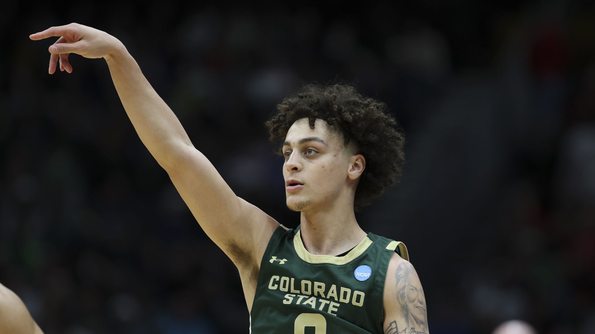 Latest ACC Portal Update!