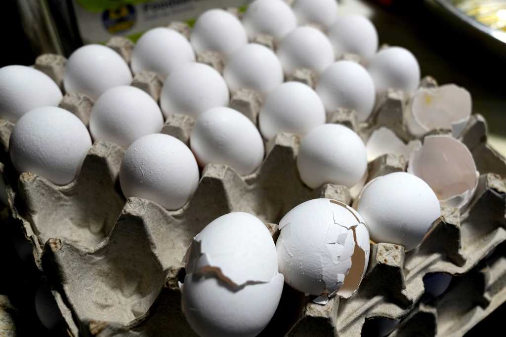 Egg prices increase to record high, dashing hopes of cheap eggs by Easter