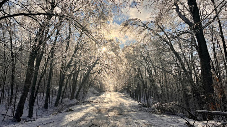 Two weeks after northern Michigan ice storm, area still ‘devastated’