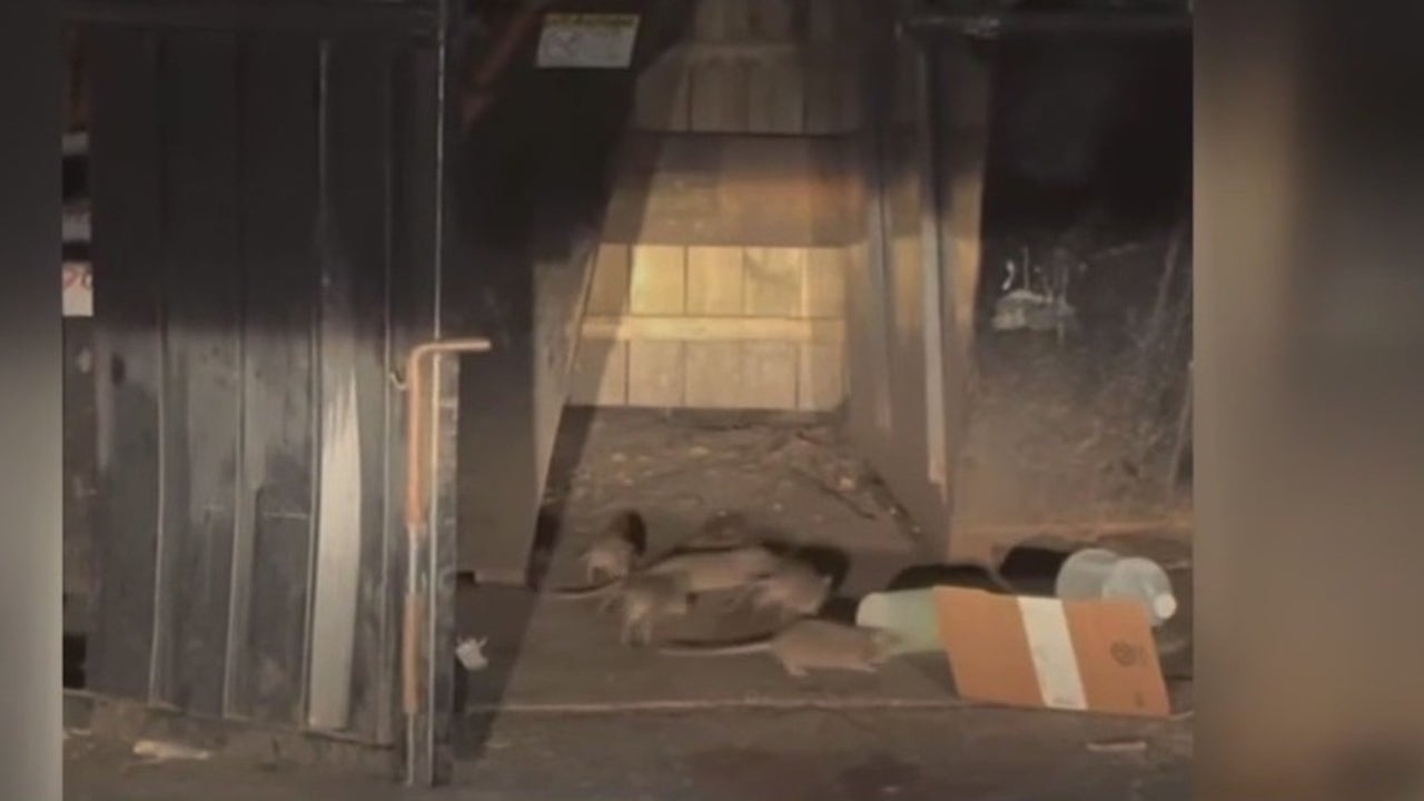 Rats seen scurrying in Philly neighborhood have residents beyond ...