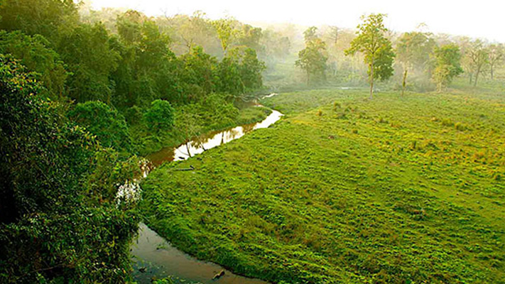 DOOARS, WEST BENGAL - WHERE WILDLIFE ROAMS FREE AND NATURE UNFOLDS ITS ...
