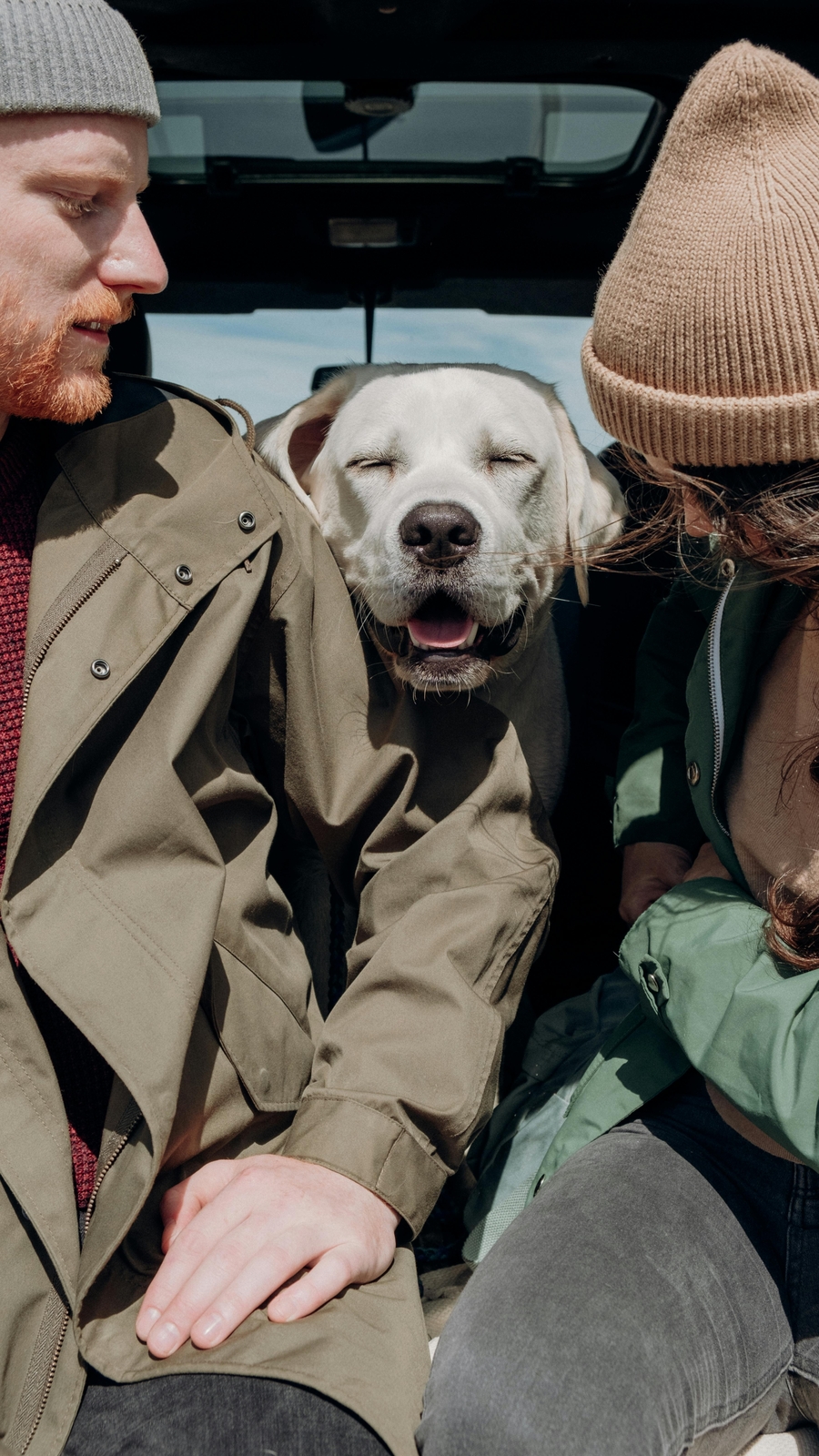 6 reasons why the bond between dogs and humans is so powerful