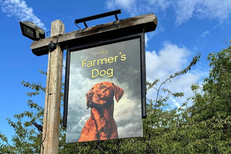 Jeremy Clarkson slammed as 'hideous bully' over controversial animal on ...