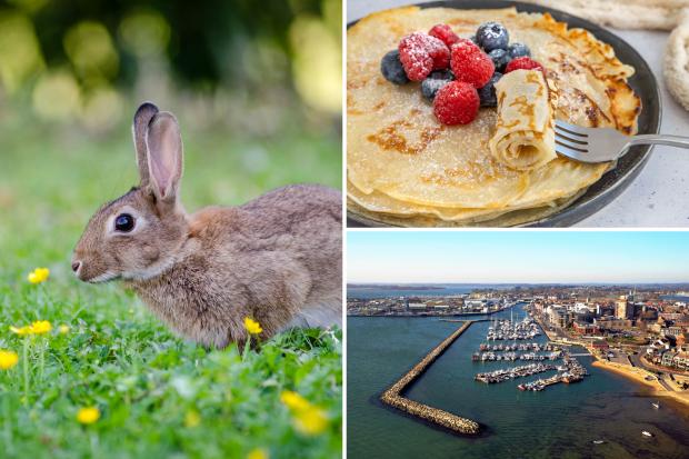 5 weird and wonderful Dorset traditions from rabbits to Skimmity Riding