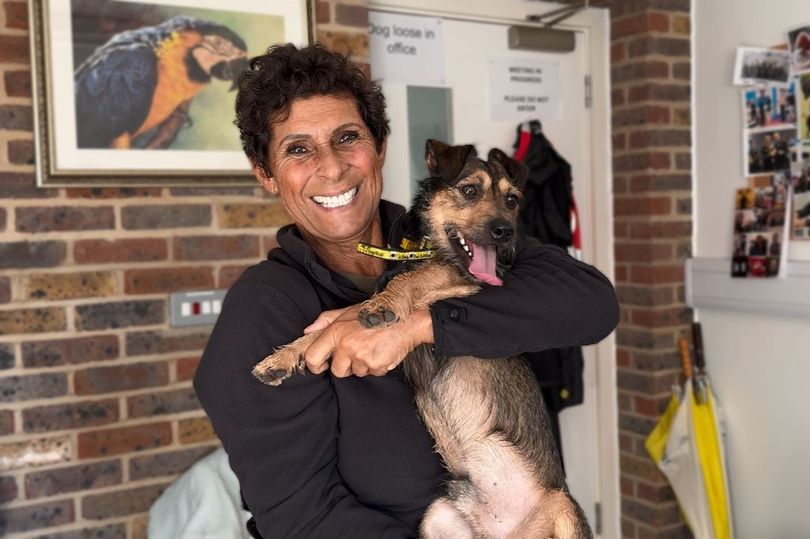 The 'energetic' dog given 2nd chance by Fatima Whitbread after 'tough ...