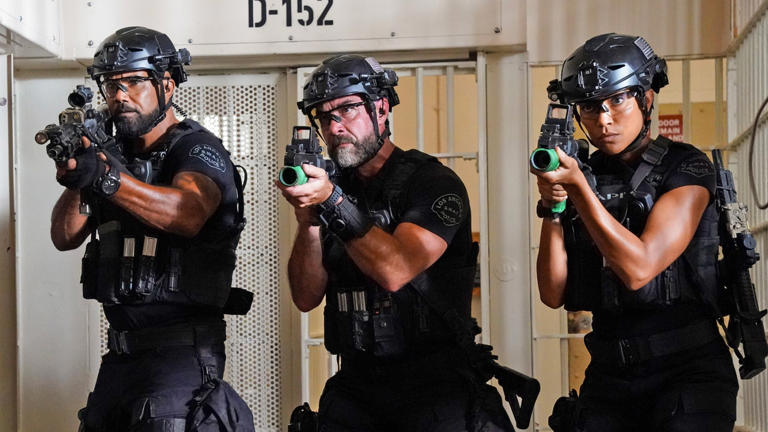 When Is 'S.W.A.T.' Season 8 Streaming on Netflix? Date, Time, Cast and More