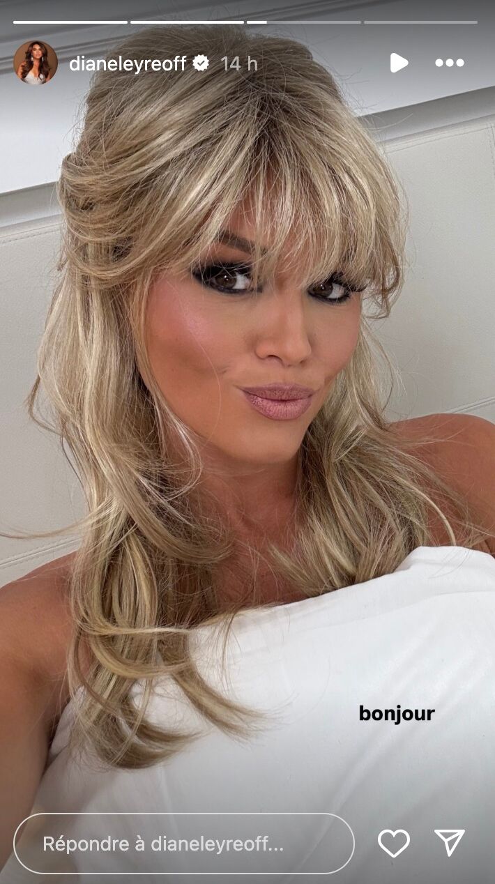 “Me transformer en Brigitte Bardot” : méconnaissable, Diane Leyre ...