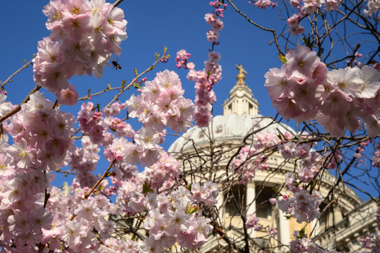 零跑B10上市，9.98万起配800V+510km续航，12万内带激光雷达