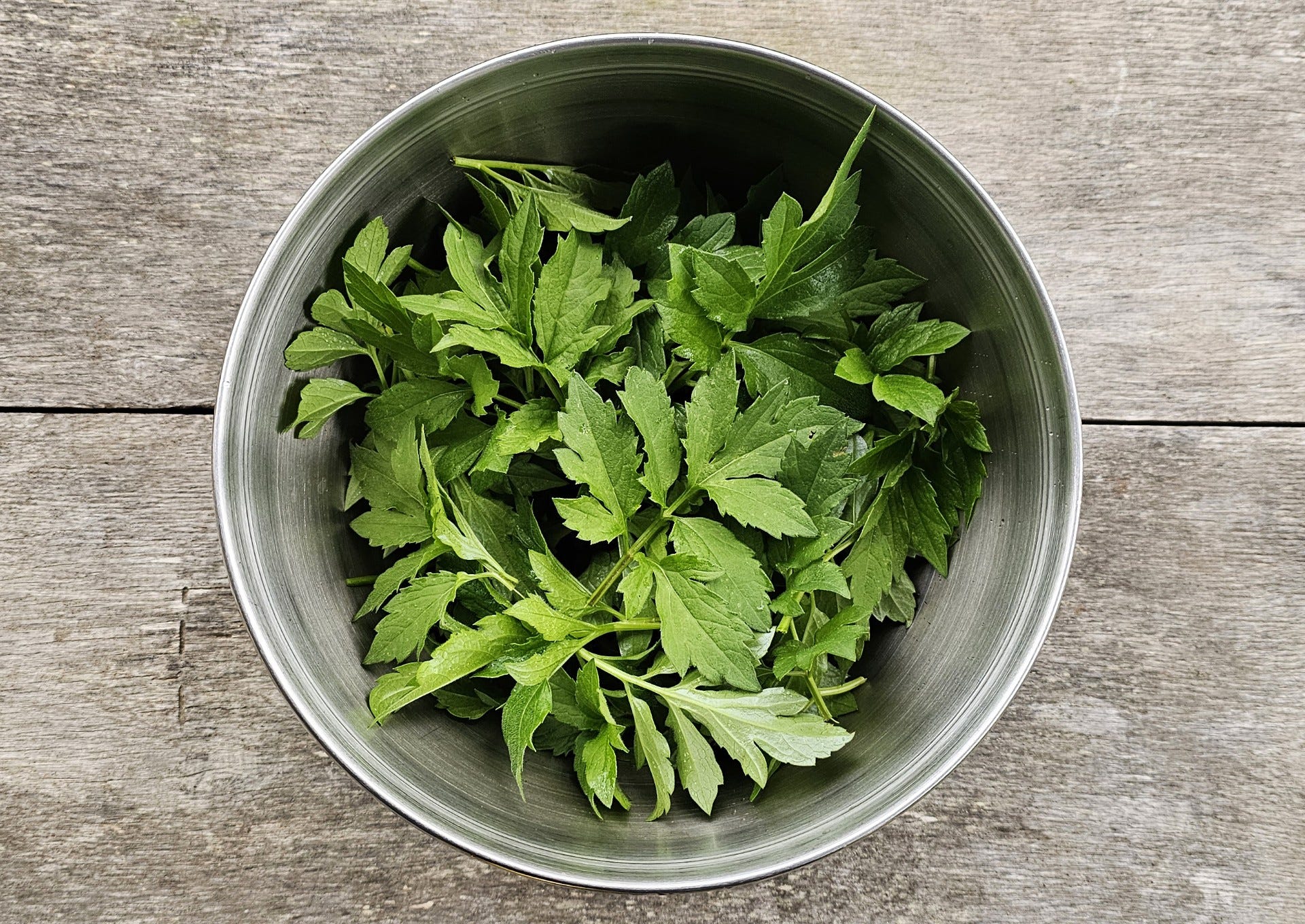 Appalachian Ingenuity: Recipes of Resilience and Comfort - Sochan, a ...