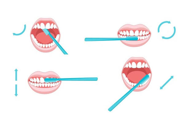 The Right Way to Brush and Floss: Dentist-Approved Routine