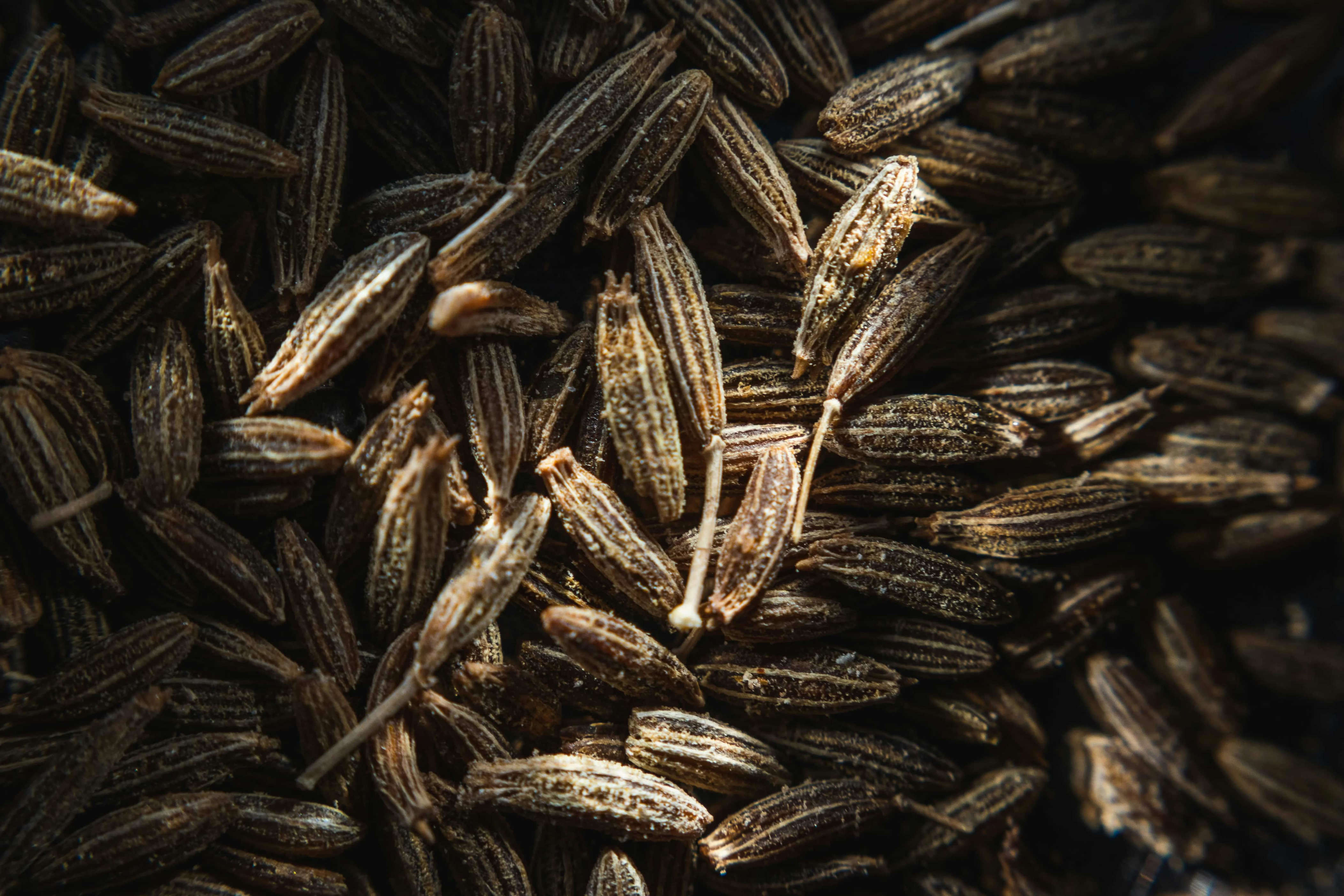 7 Popular Spices That Are Seeds
