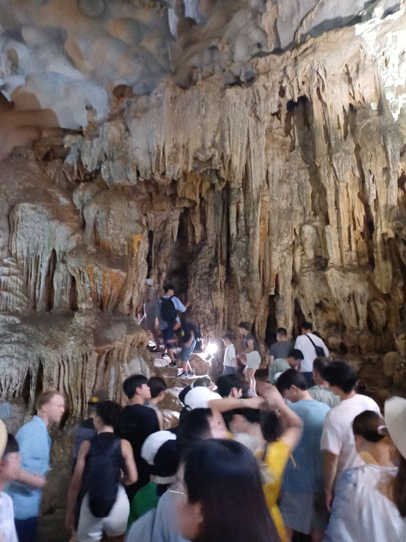 하노이에서 1데이 하롱베이 크루즈 투어 [이환주의 내돈내산]