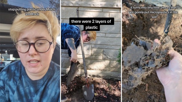 Homeowner issues warning after discovering dangerous landscaping issue ...