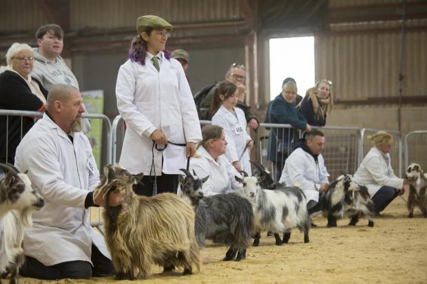 Popular countryside event with animals and shopping coming to Sussex
