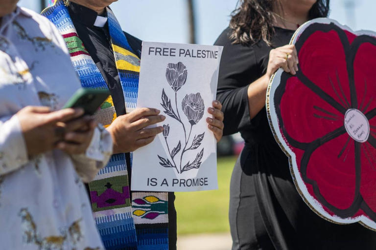 Judge says US can deport pro-Palestinian student protester