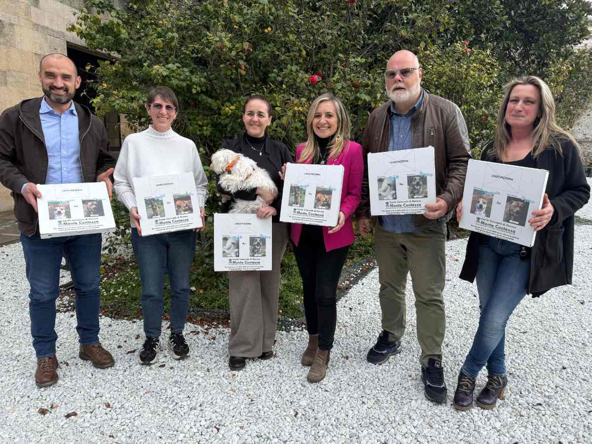 Sui cartoni della pizza le foto dei cani da adottare: l’idea solidale che conquista tutti