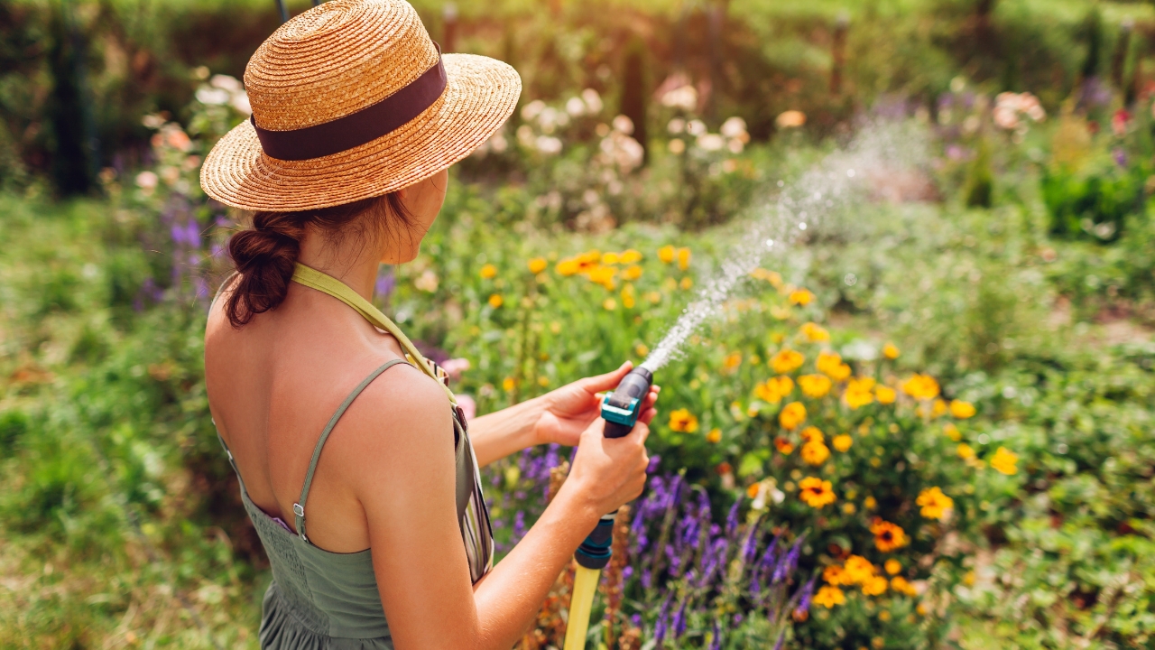 10 Gardening Mistakes Ive Made And You Can Avoid Them