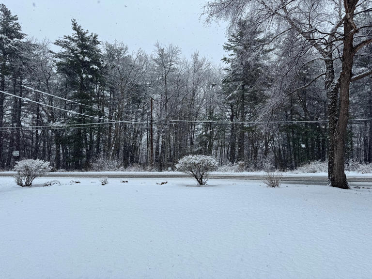 Springtime storm drops up to 8 inches of snow in some parts; rain ...