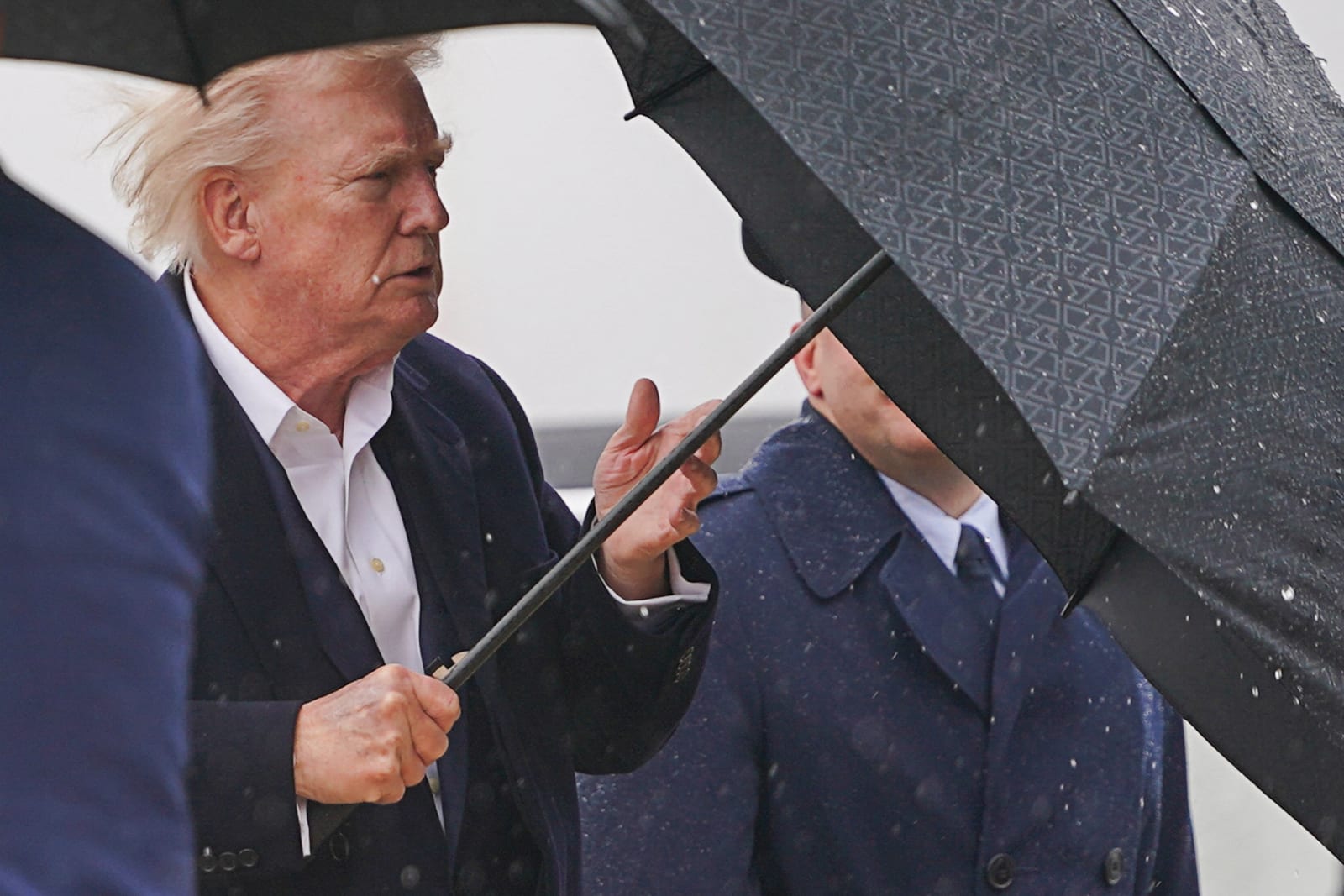 Trump is drinking his own Kool-Aid as evidence of his dementia grows ...