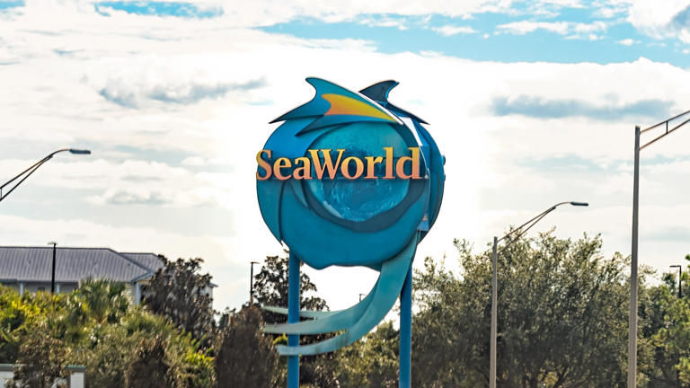 4 Things the Middle Class Can’t Afford at SeaWorld