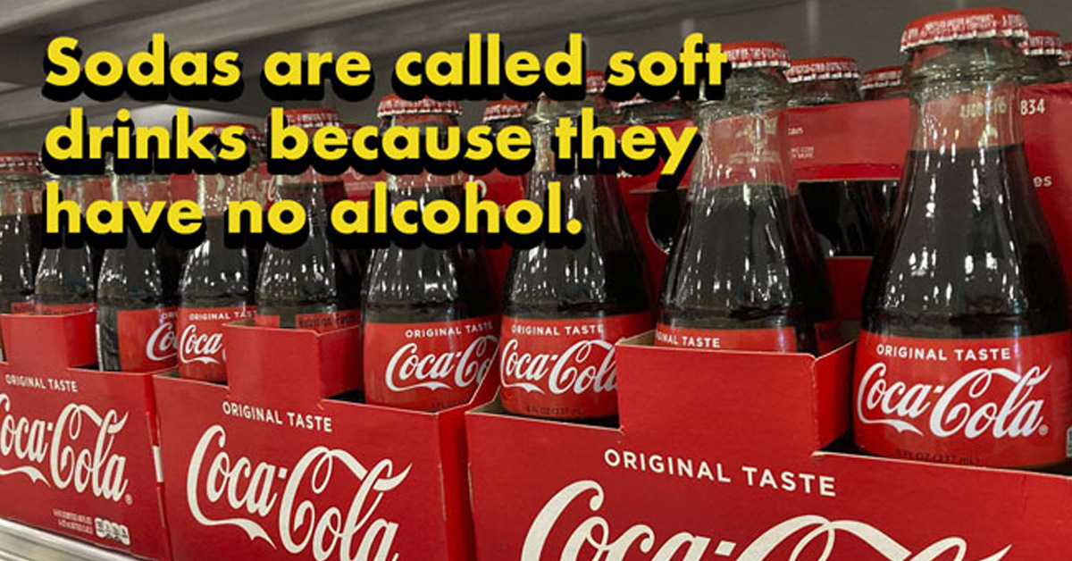 21 Fascinating Facts and Bits Of Knowledge to Broaden Your Knowledgebase