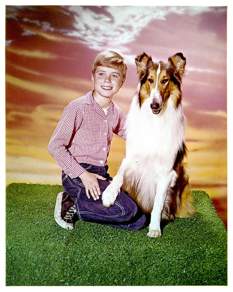 'Lassie': The Cast Then and Now!