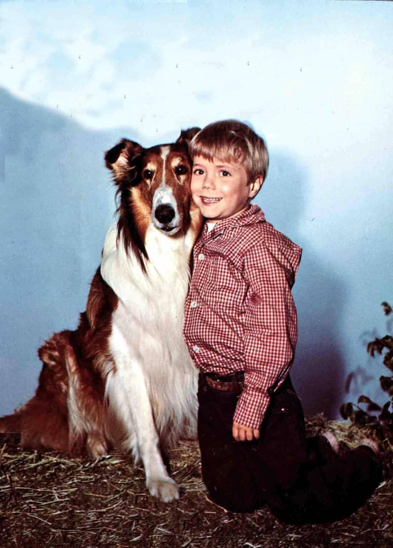 'Lassie': The Cast Then and Now!