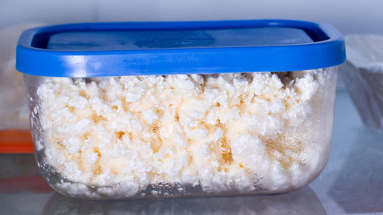 The Issue You Need To Consider Before Freezing Cottage Cheese