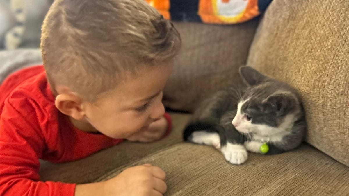 Autistischer Junge kann keine Gefühle zeigen – dann adoptiert die ...