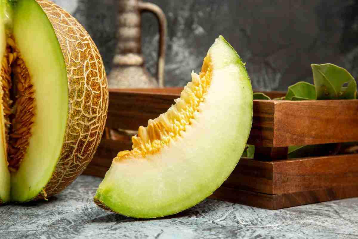 Quando si pianta il melone: Semina, trapianto e conservazione