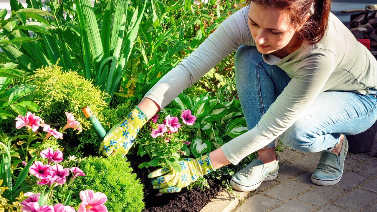10 mistakes that will wreck your garden beds
