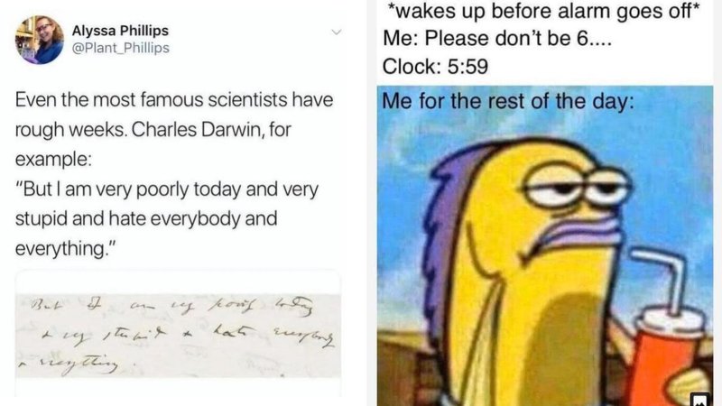 30 Relatable Memes Describing Everyone's Moods This Week