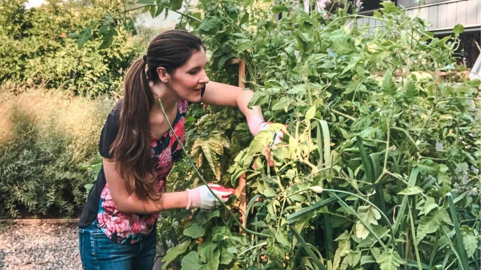 10 Frugal Gardening Hacks for Fresh Produce Year-Round