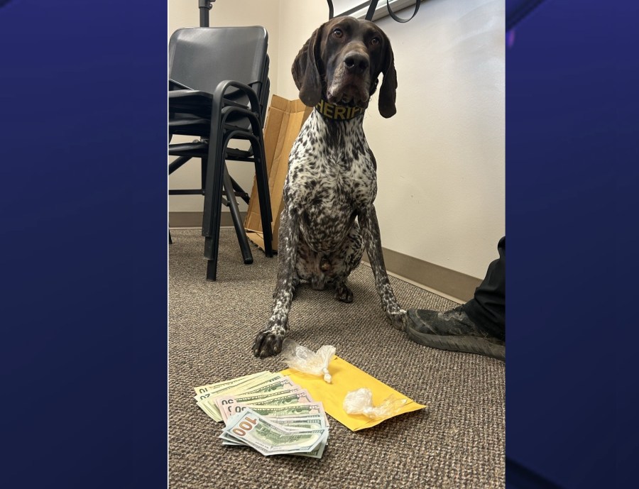 Darke County traffic stop leads to drug arrest on Friday