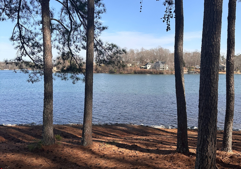 Best Things to Do in Seneca, SC That Adults Will Love