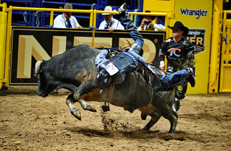 How to Watch The American Rodeo Championship: Live Stream Rodeo, TV Channel