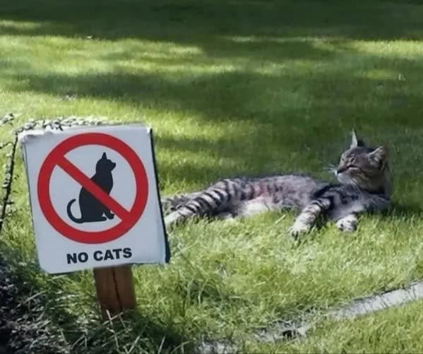 45 Funny And/Or Random Pictures For Your Daily Dose Of Randomness ...