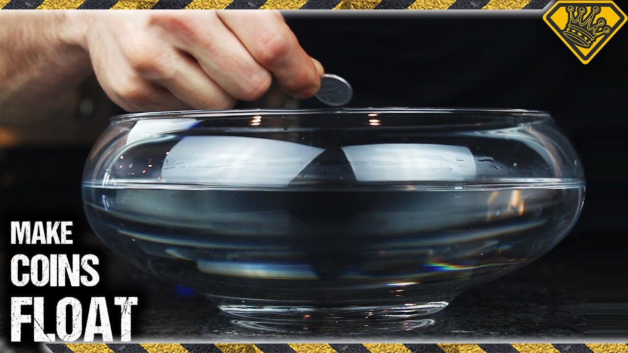 Watch Coins Float on Water Using Simple Methods